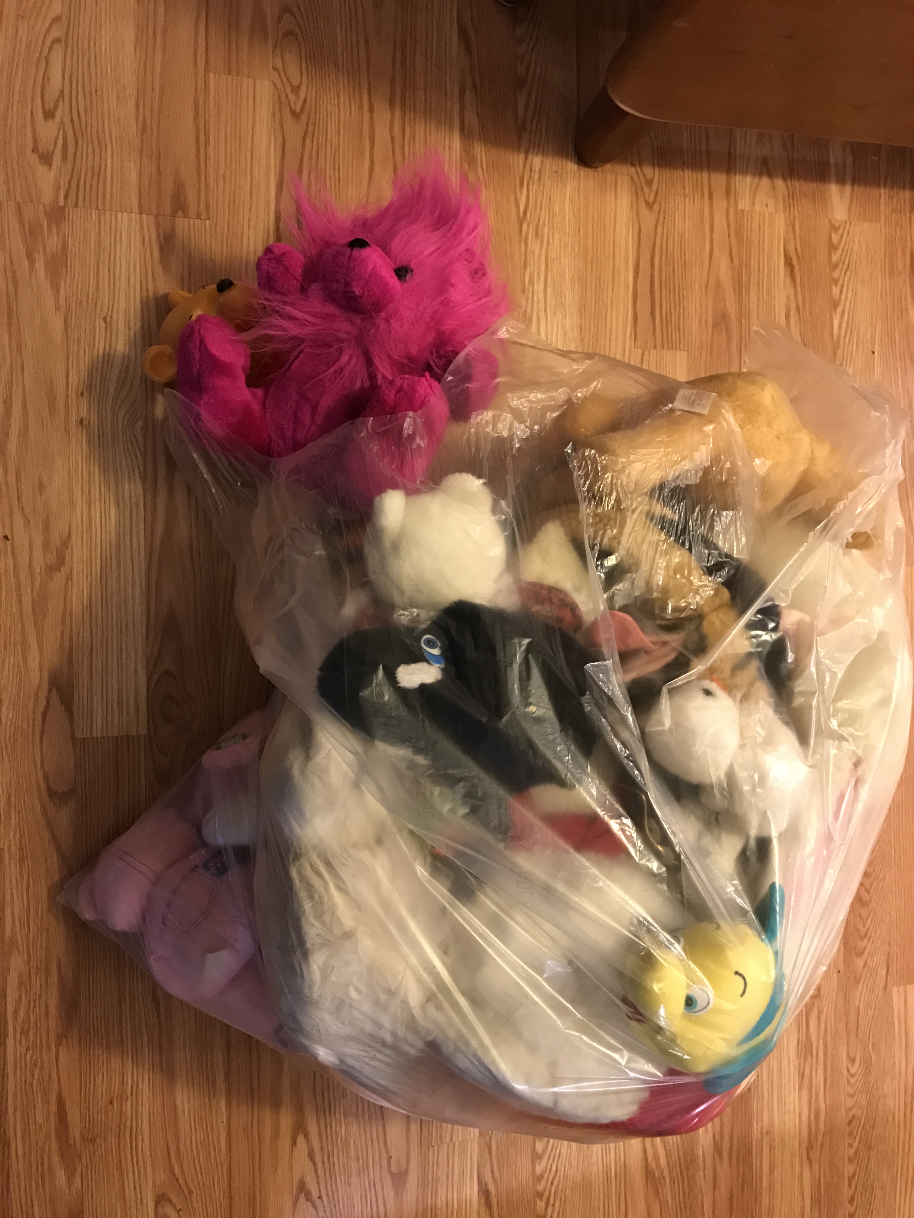 Stuffed Animals | Decluttering the Stuff