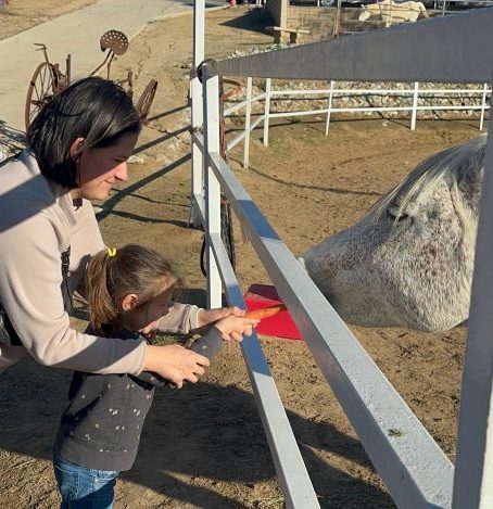 Christmas Joy – Decluttering the Stuff