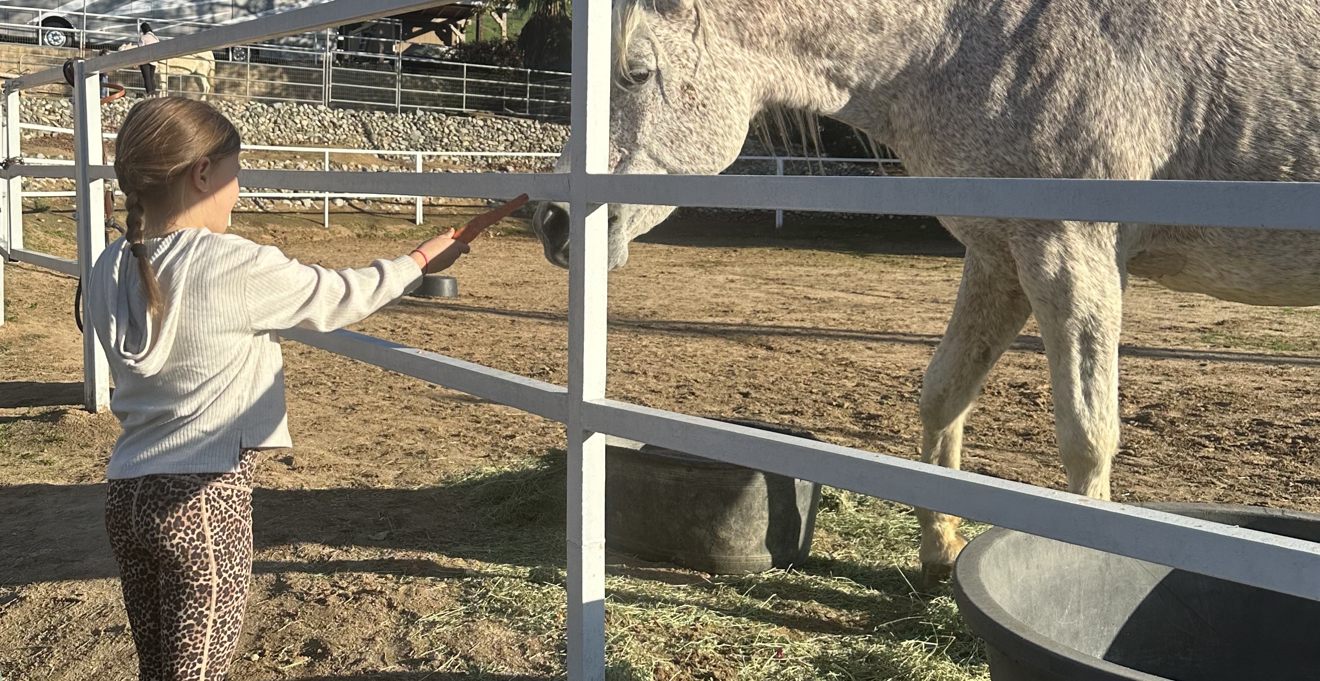 Christmas Joy – Decluttering the Stuff